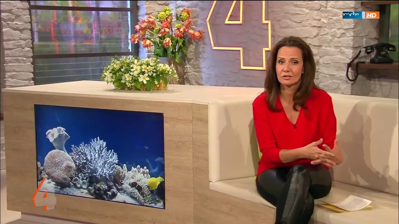Katrin Huss - 2016-04-27 - MDR um 4.mp4 - YouTube