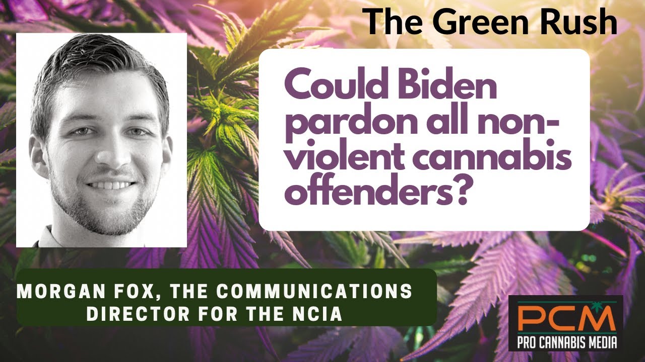 Could Biden pardon all non-violent cannabis offenders? What a lead ...