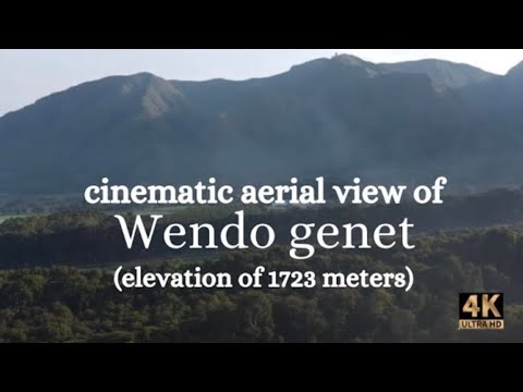 Cinematic 4K Aerial View of Wendo Genet Ethiopia | (Shebele , wosha ...