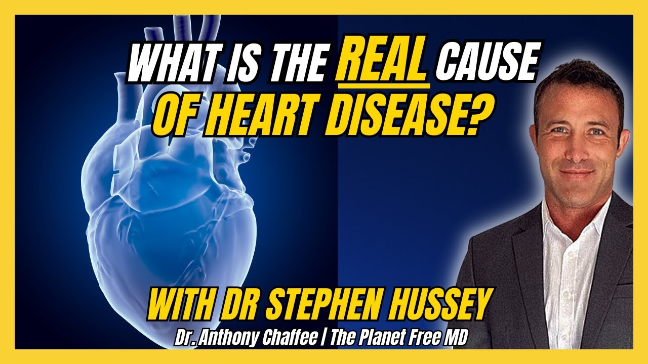 What Is The REAL Cause of Heart Disease | Dr Stephen Hussey | Ep 93 ...