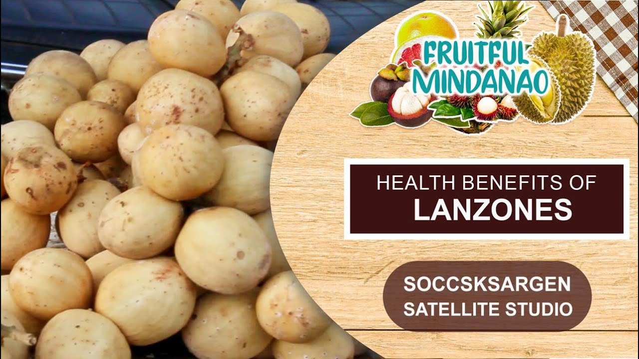 Health Benefits of Lanzones | Fruitful Mindanao | December 07, 2024 ...