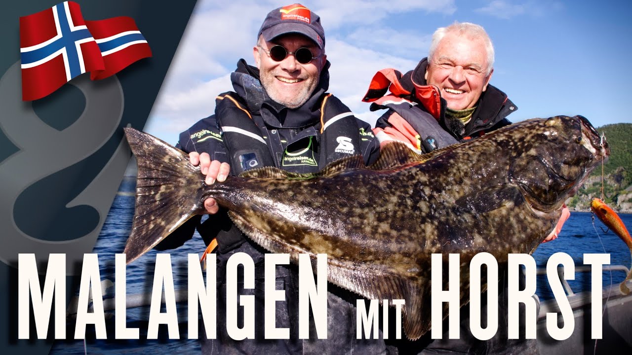 Mit Horst am Malangen-Fjord! 🇳🇴 - YouTube