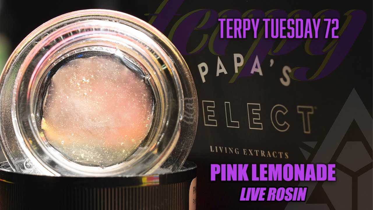 Terpy Tuesday Ep. 72: Papa's Select Pink Lemonade Live Rosin - YouTube