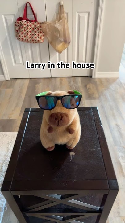 Larry’s first vid - YouTube