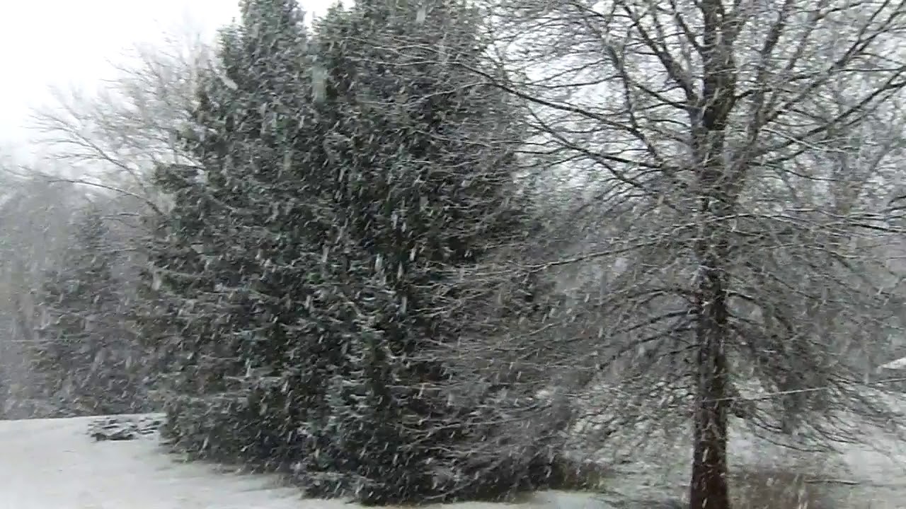beautiful calm snow fall from the deck - YouTube