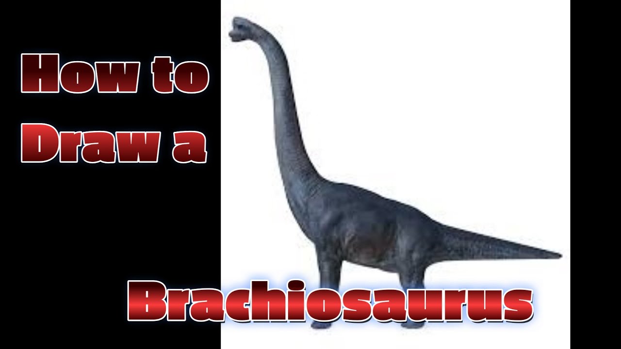 Learn to Draw a Brachiosaurus Dinosaur - YouTube