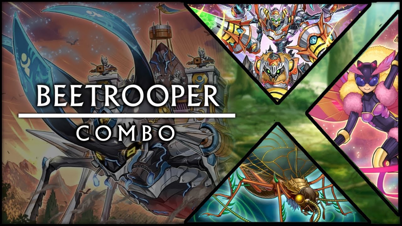 COMBO: Beetrooper Insect 2024 - YouTube