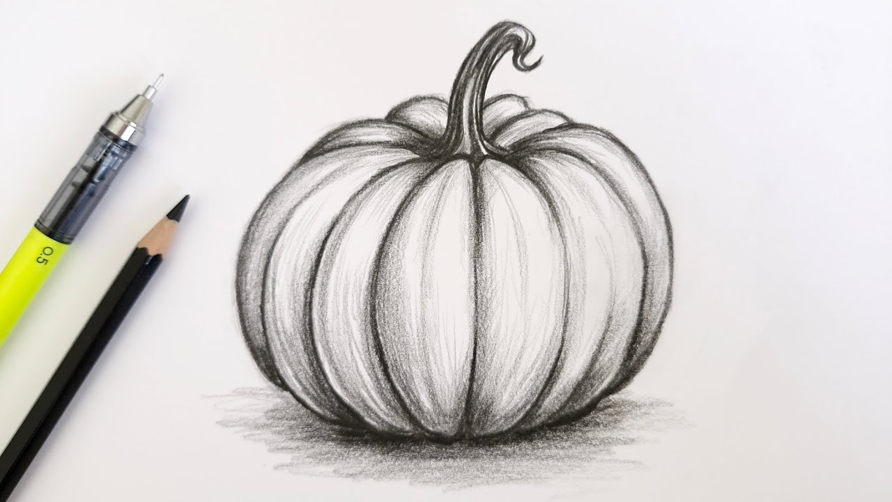 Thanksgiving Pumpkin Drawing Tutorial / Realistic Pencil Shading Step ...