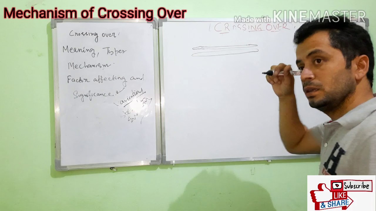 Crossing over | Meaning | types mechanism | Factors affecting and ...