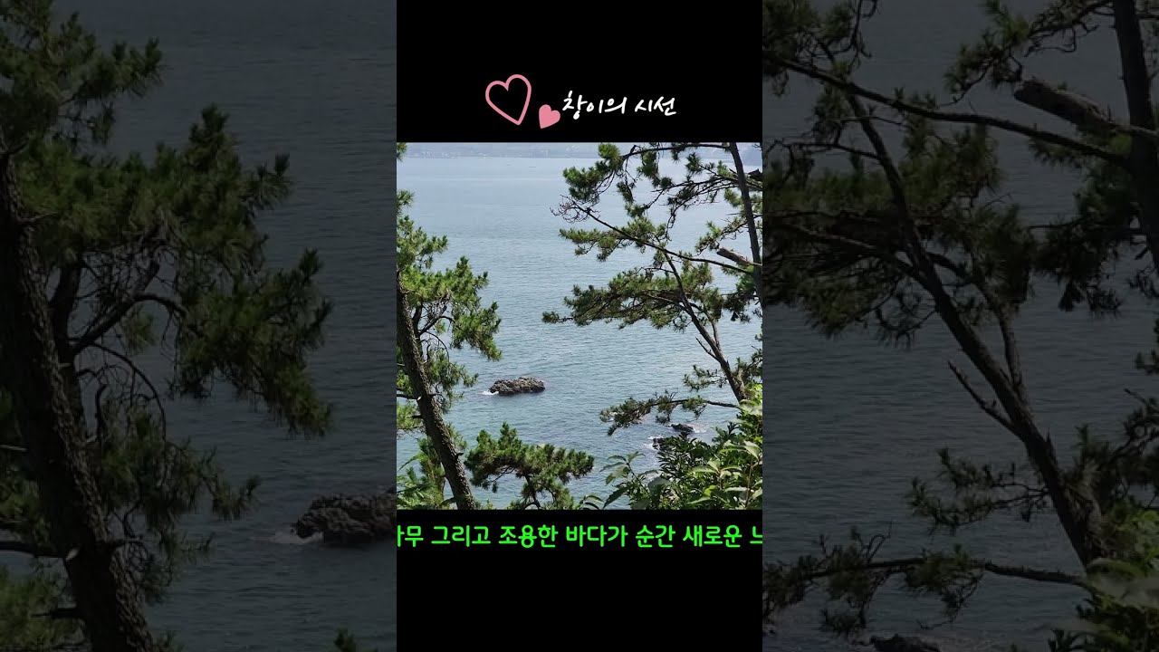 애매미 소리와 소나무 그리고 잔잔한 바다 Asmr Youtube