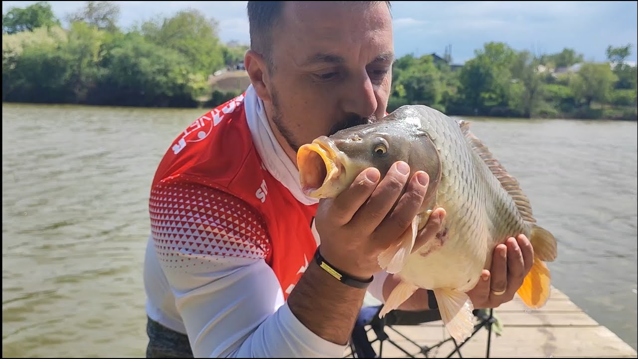 Pescuit la feeder la crap pe balta Piteasca 2 - YouTube