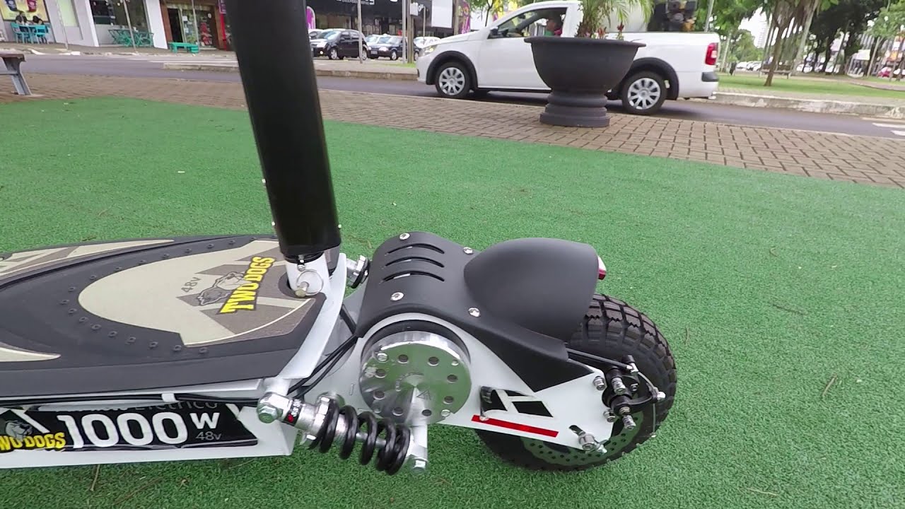 PATINETE TWO DOGS 1000W - YouTube