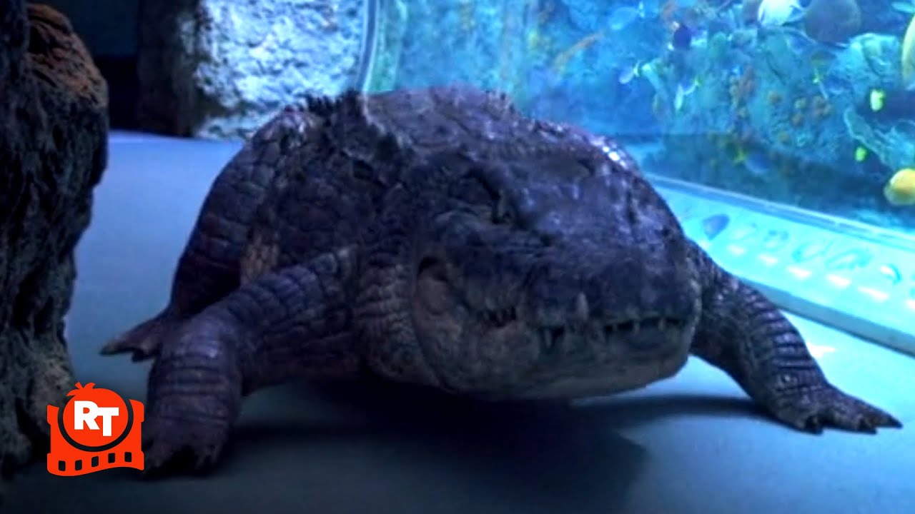 Aquarium of the Dead (2021) - Run! Zombie Crocodile! Scene | Movieclips ...