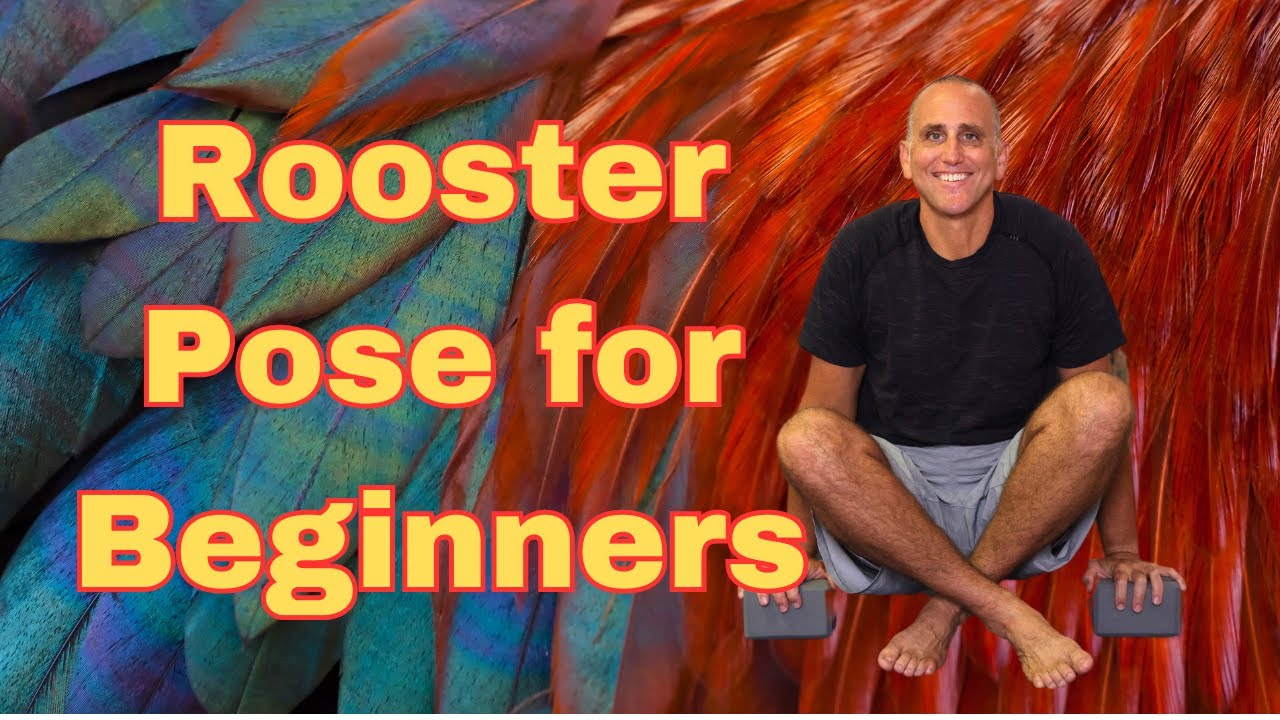 How to do Rooster Pose for Beginners - YouTube