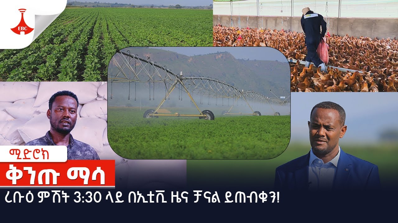 ሚድሮክ- ቅንጡ ማሳ - MIDROC Investment Group | Etv | Ethiopia | News Etv ...