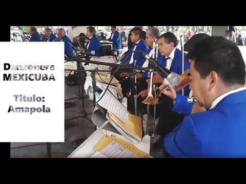 Danzonera MEXICUBA - Amapola - YouTube