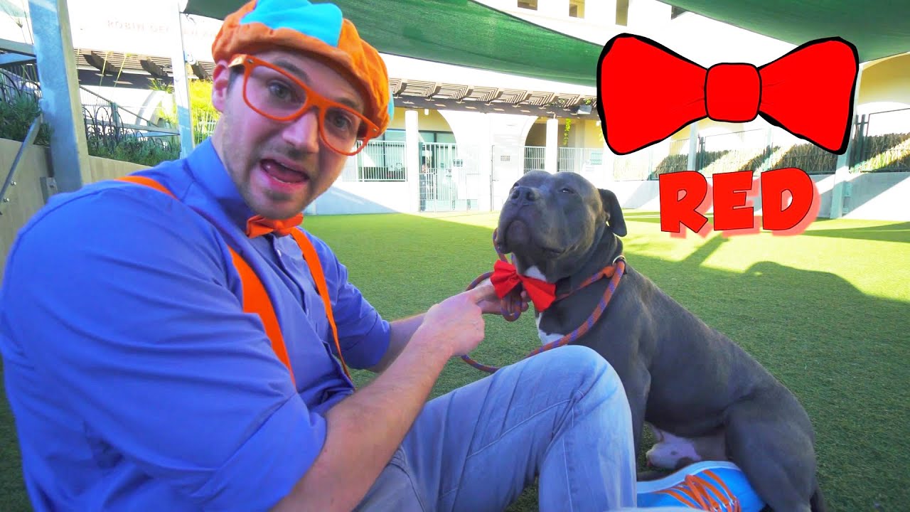 Blippi Visits the Animal Shelter | Learning Animals Videos | Kids ...