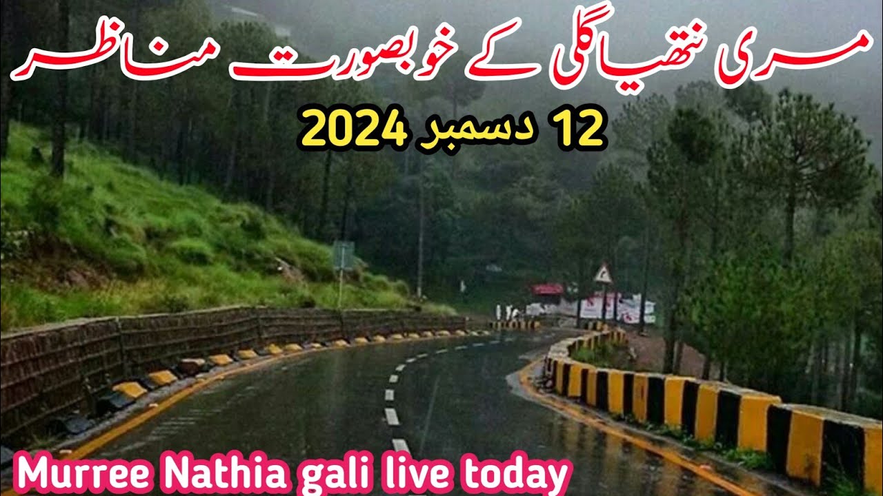 murree live today | Nathia gali today | #murree weather today | murree #snowfall update #2024 ...