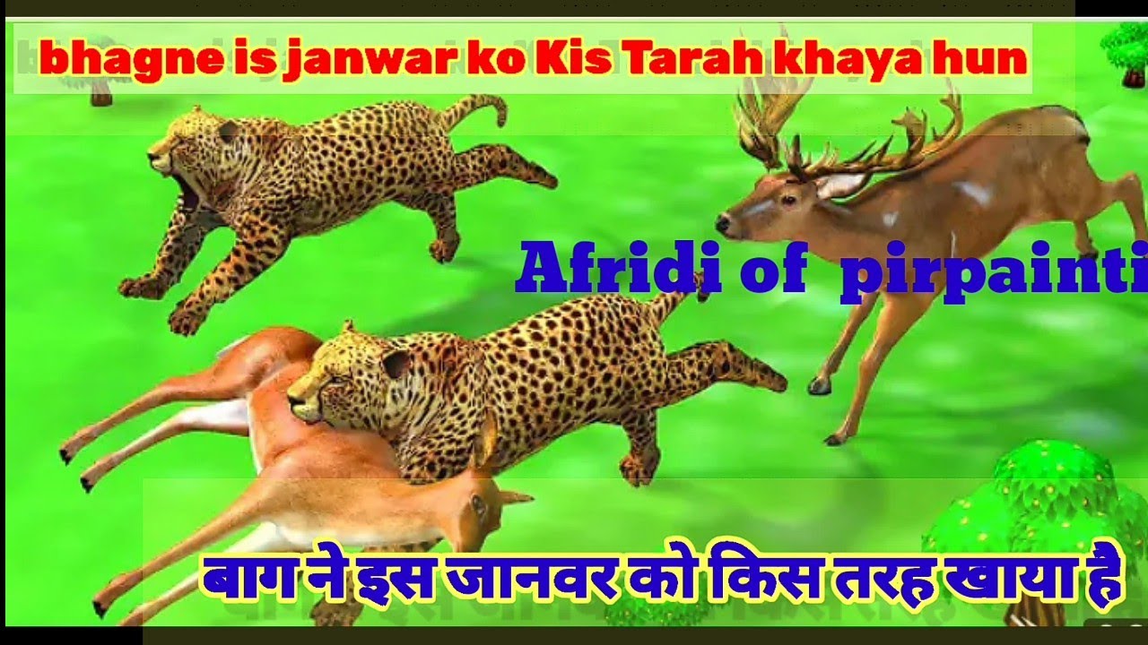 Bagh Ne is janwar ko Kis Tarah ka hai Kashmir ke jungle ka video hai is ...