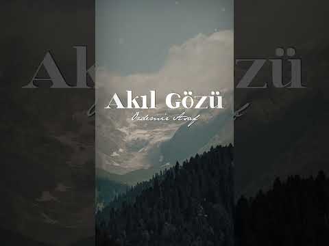Özdemir Asaf | Akıl Gözü