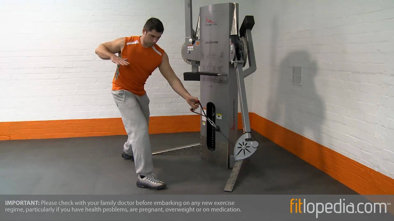 Single Arm Cable Cross Row with Rotation (Low) - YouTube