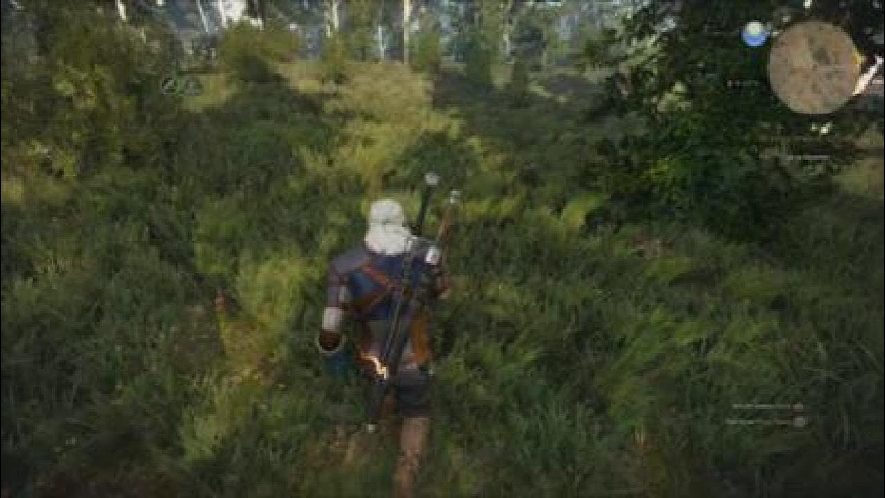 The Witcher 3: Earliest Farming For Blue/Green Mutagen in White Orchard ...