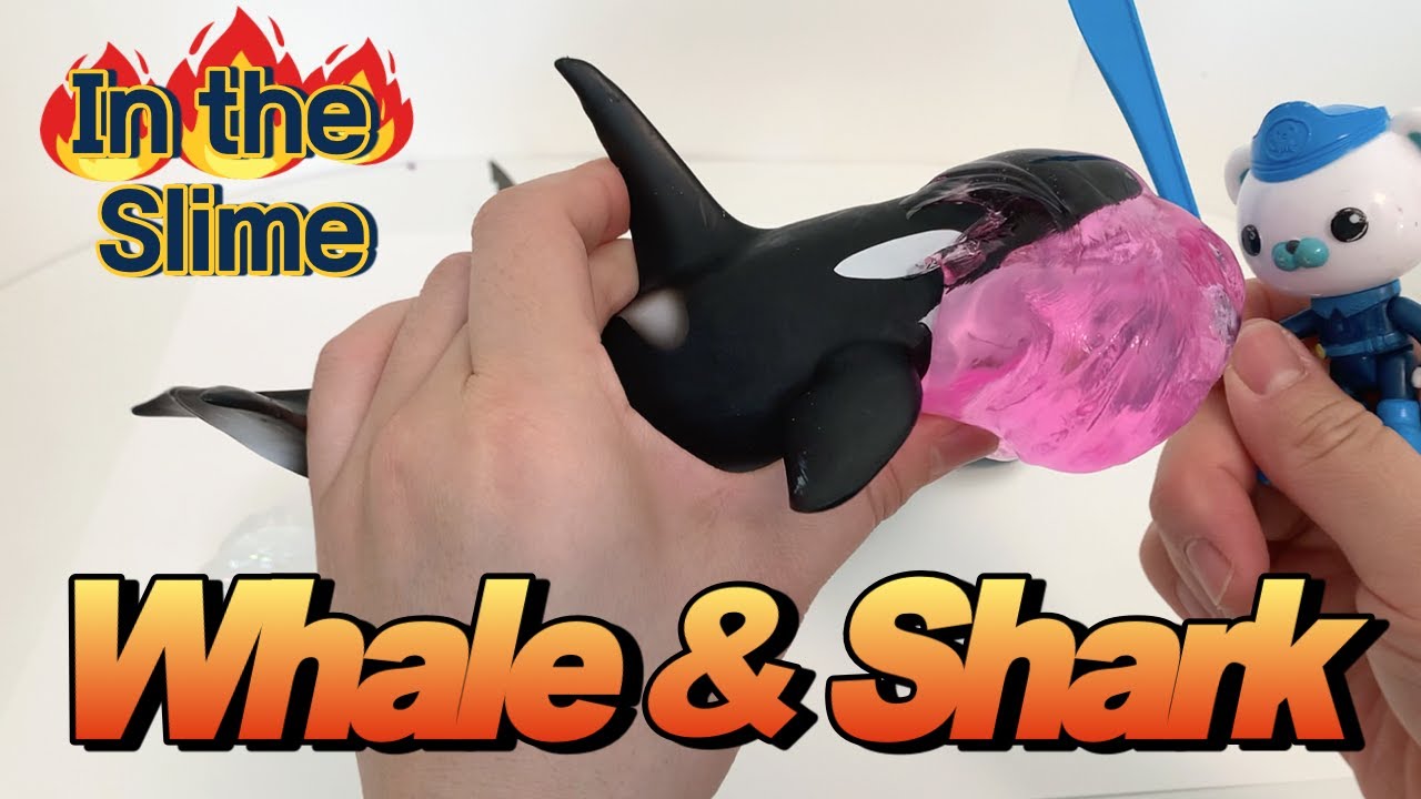 (Eng) Whales and Sharks | In the Slime | Sea Creatures | Orca | Shark ...