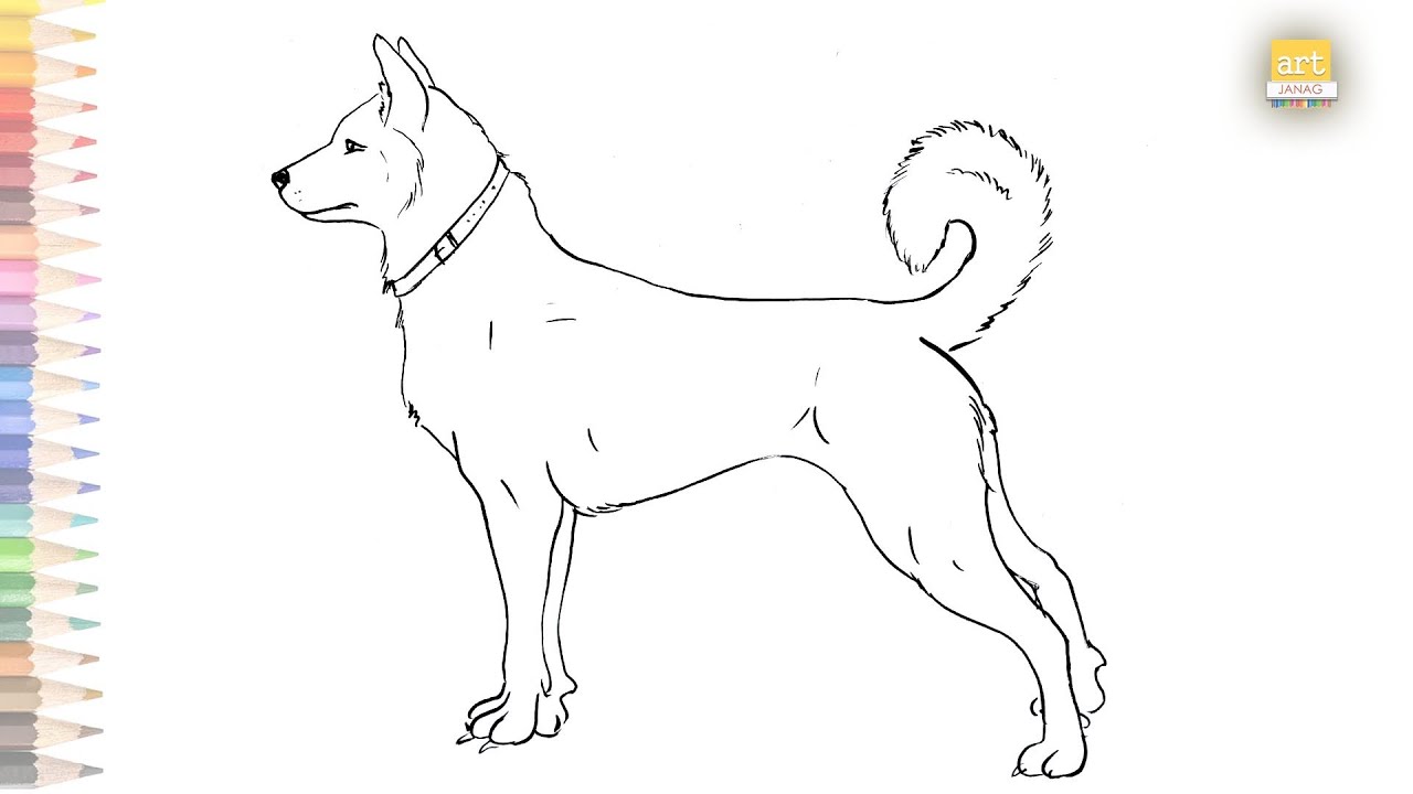 Village Dog drawing easy | How to draw Village Dog simply - YouTube