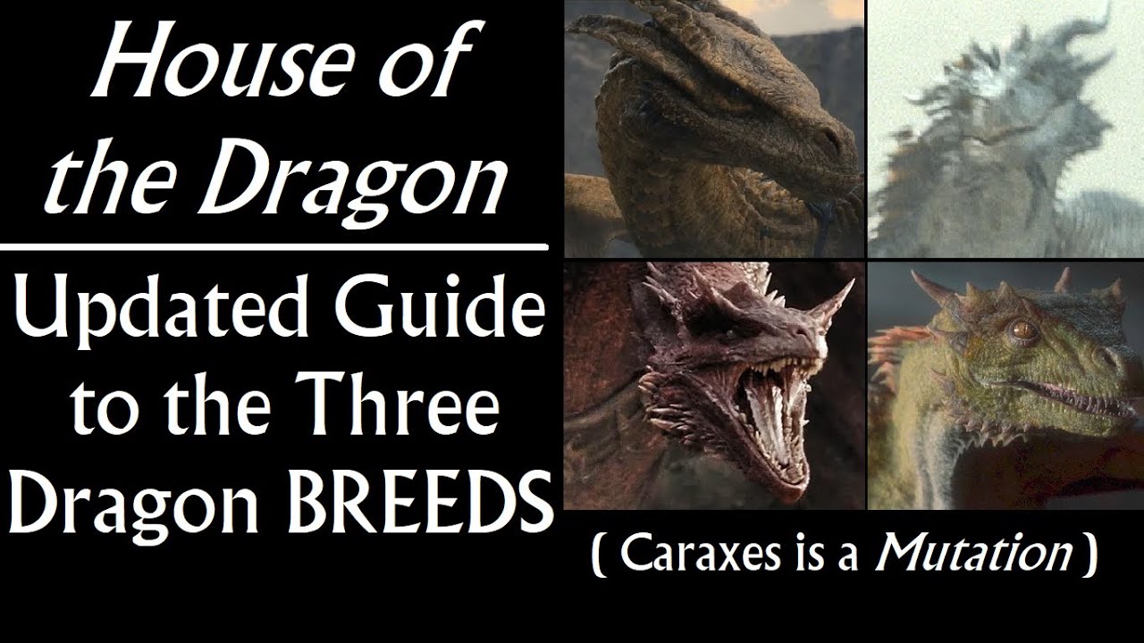 House of the Dragon: Updated Guide to the Three Dragon Breeds Developed ...