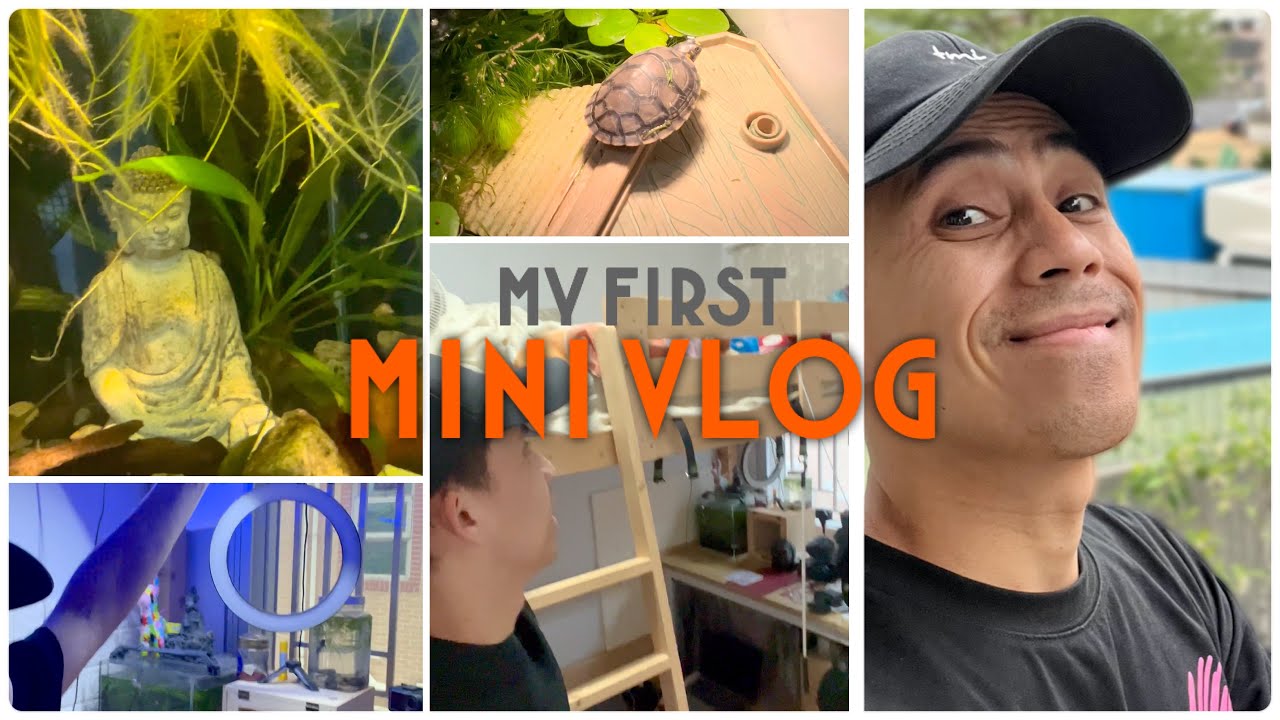 My FIRST MINI VLOG😅TRY LANG!!! | REACTION VIDEO SETUP - YouTube