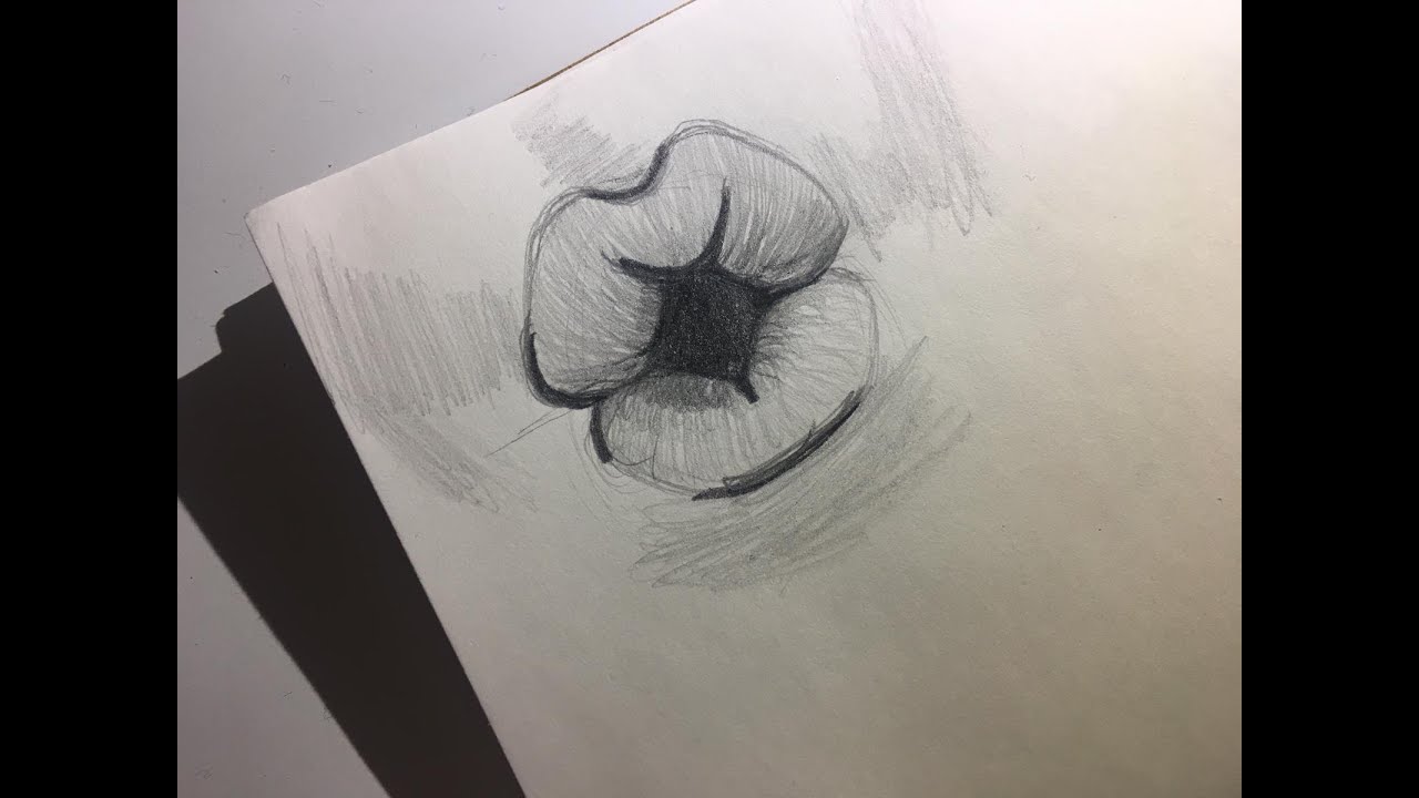 Drawing Exercises | Background Noise - YouTube