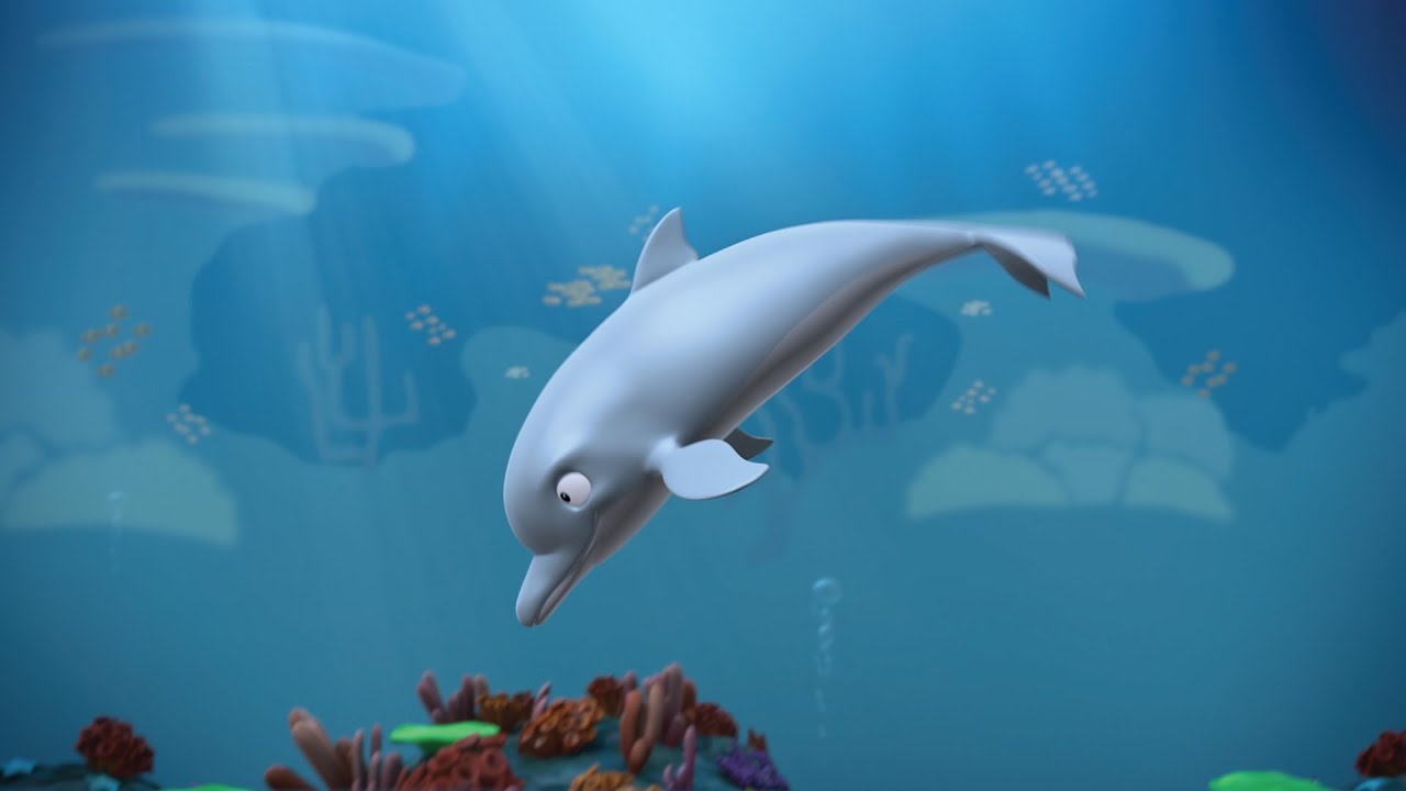 Monkey See Monkey Do Dolphin Dance - YouTube