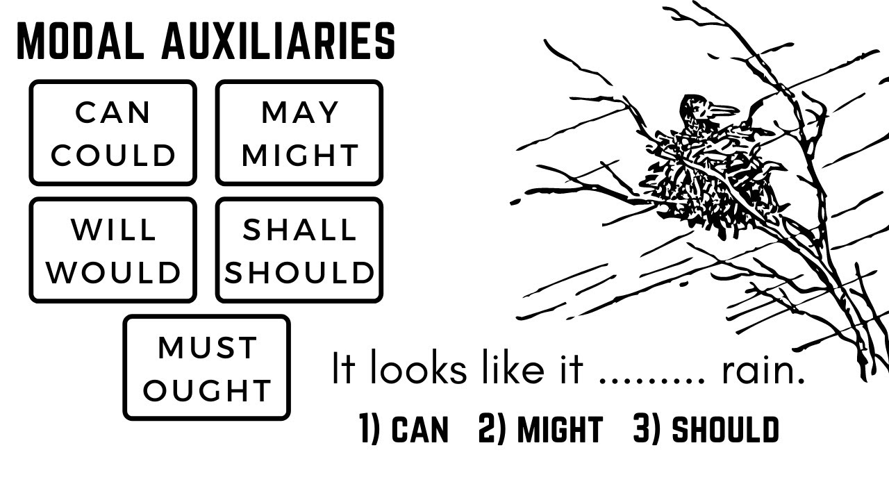 Mixed Modals | English Grammar Test - YouTube