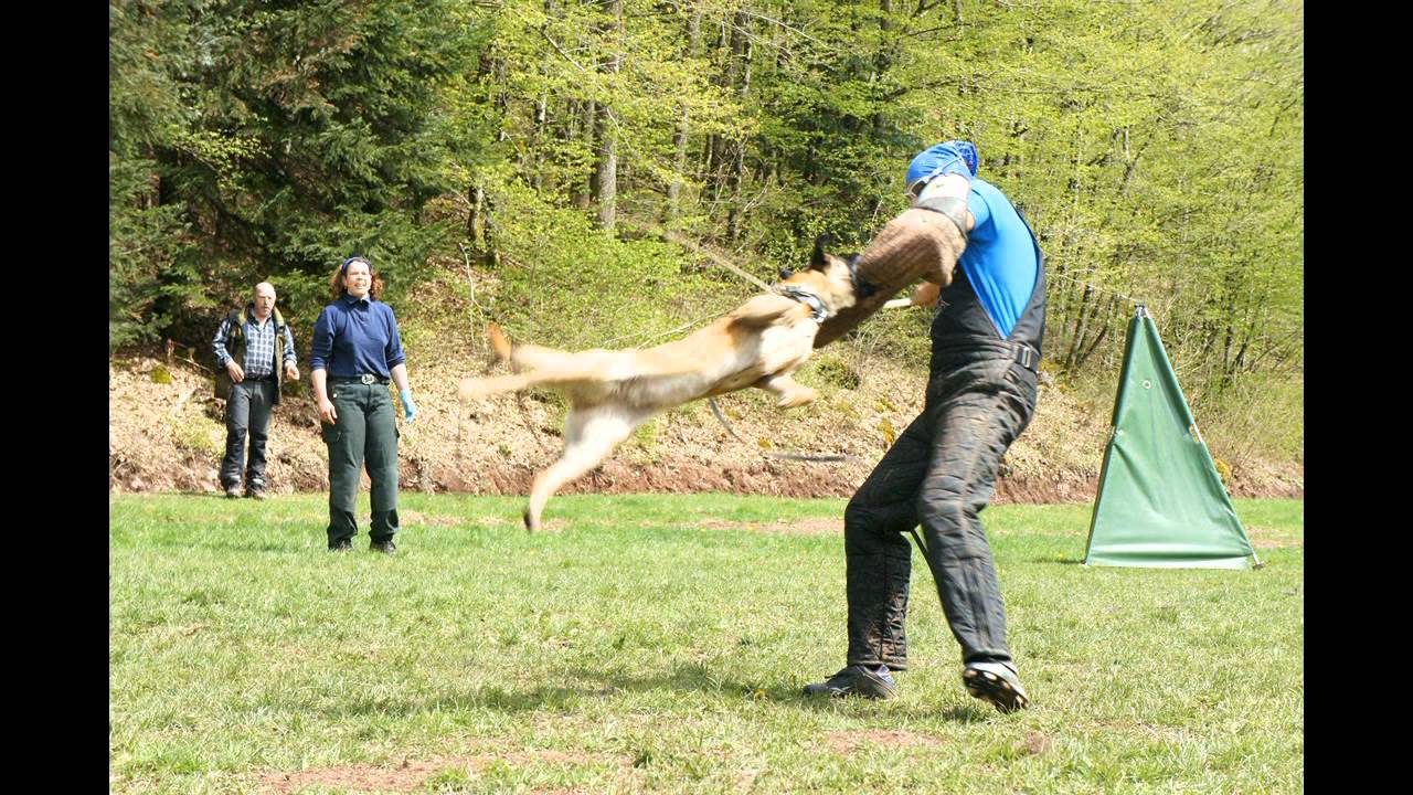 Ivan Balabanov Seminar Ecromagny, France 2012 - YouTube