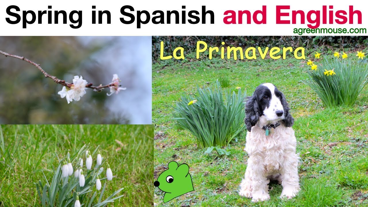 Spring In Spanish And English YouTube spring-in-spanish-and-english-youtube