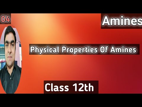 Physical Properties of Amines - YouTube