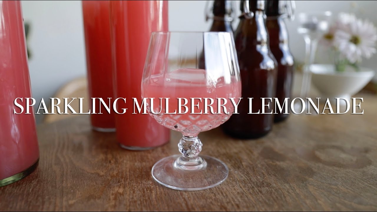 Sparkling Mulberry Lemonade | CLASSPICNIC | Relaxing | ASMR | Recipes ...