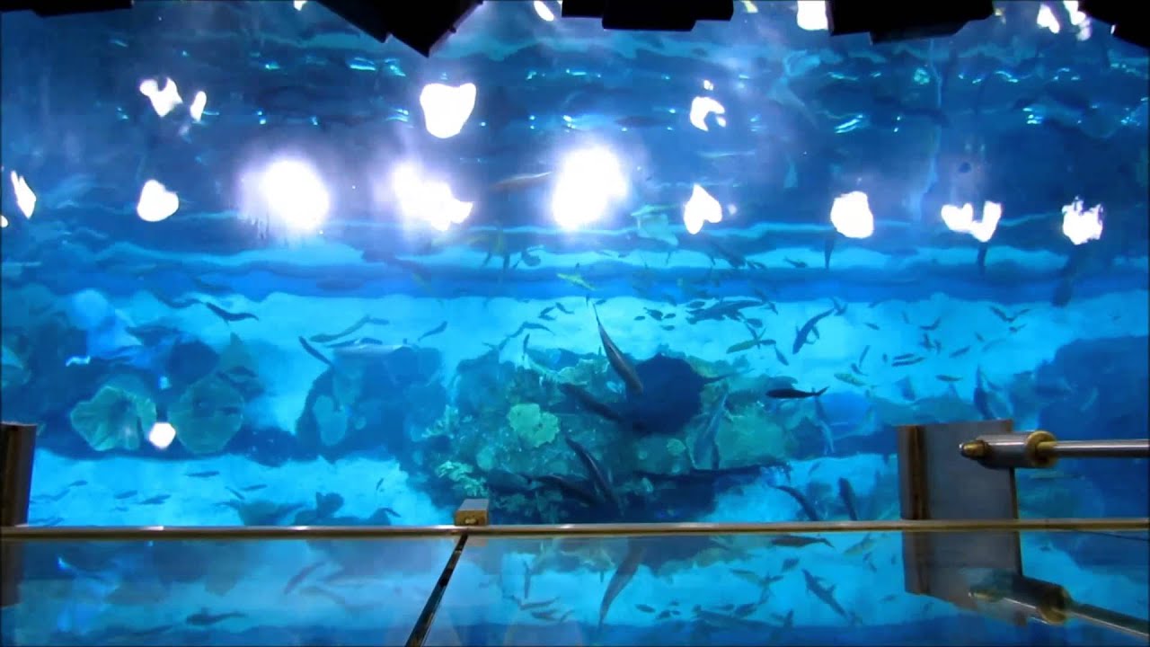 20130124 Dubai Mall aquarium and underwater ZOO 1080p - YouTube