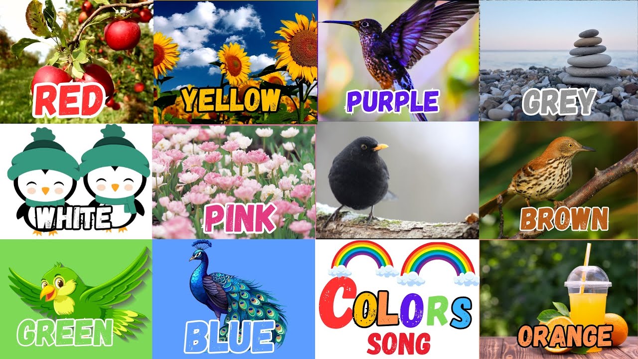Color song for kids and toddlers | We Love all the Colors | Nursery ...