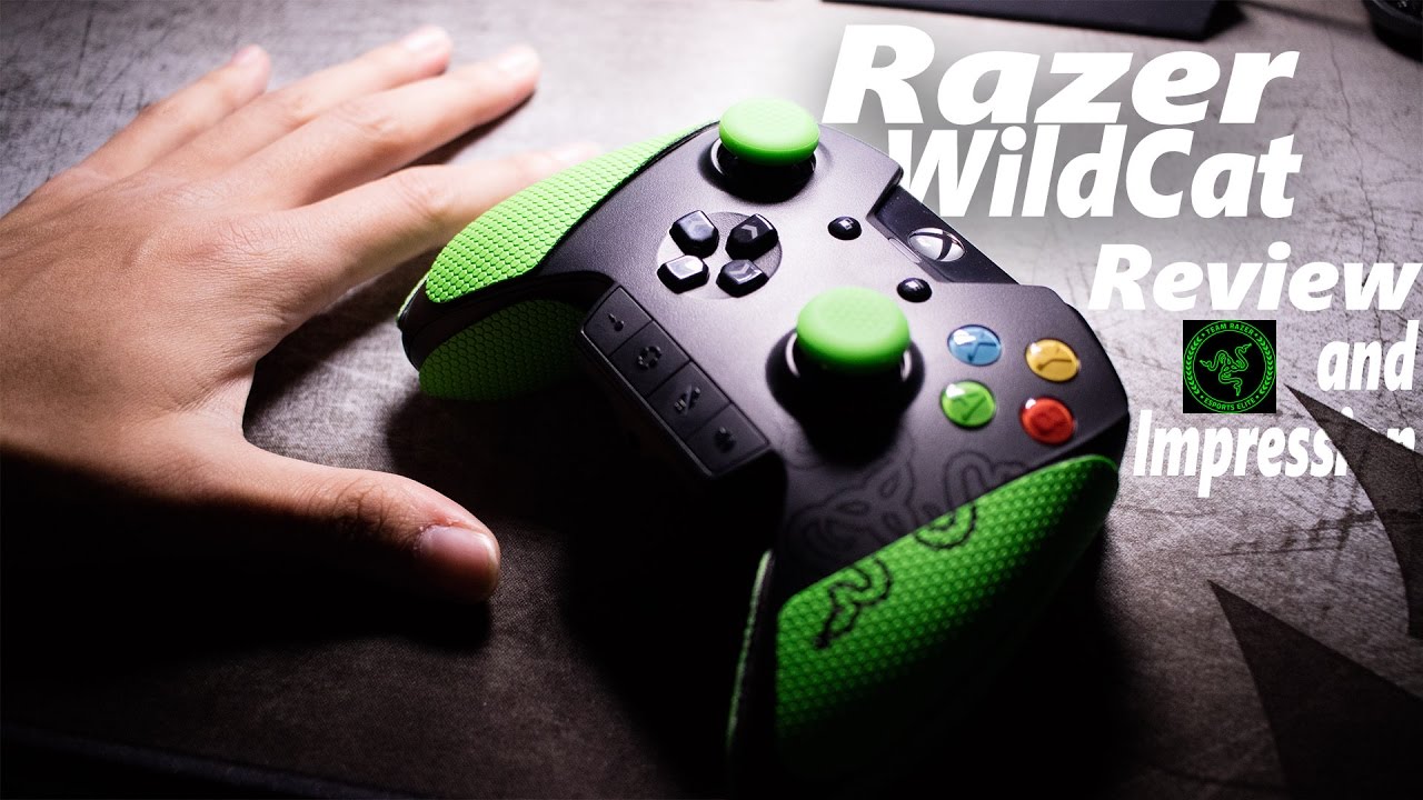Razer Wildcat Review & Impressions - YouTube