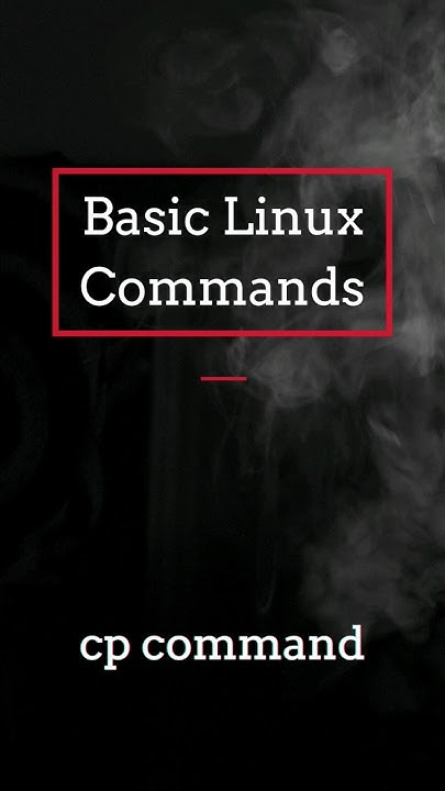Mastering Basic Linux Commands for Beginners 🙋‍♂️ Important Linux Commands #shorts #tutorial # ...