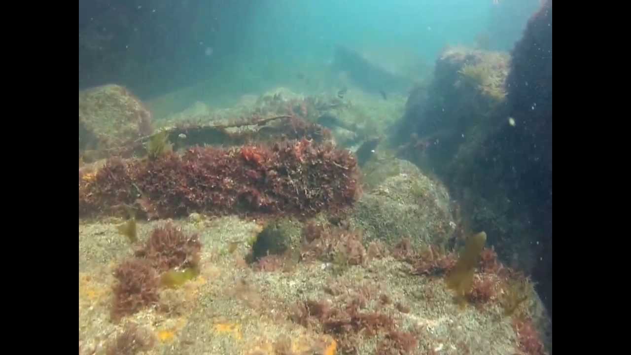 Epave le Bedlington avec Nemo plongee85 aux Sables d'Olonne - YouTube