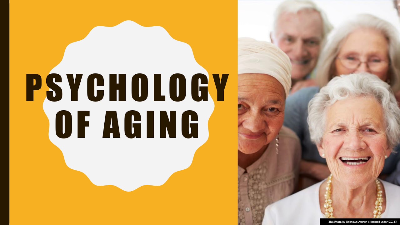 Kate Womack Psychology Capstone Presentation - YouTube