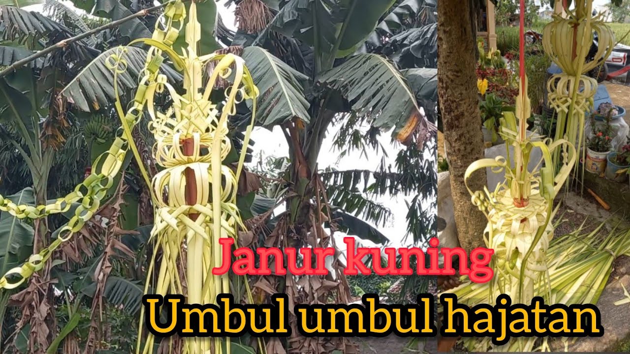 reviw pembuatan janur kuning [[ janur umbul umbul hajatan]] tutorial ...