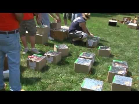 2012 Extreme Backyard Fireworks - YouTube