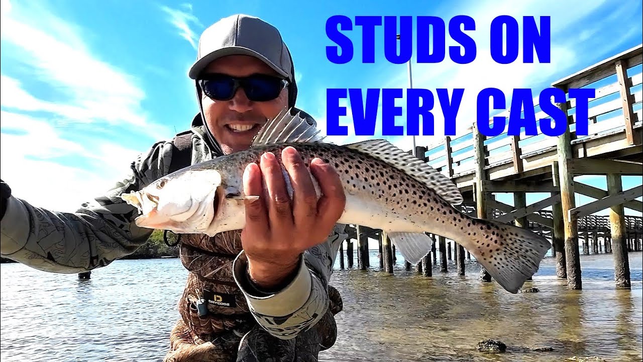 Catching STUDS On Every Cast!! Fishing This Florida Power Plant - YouTube