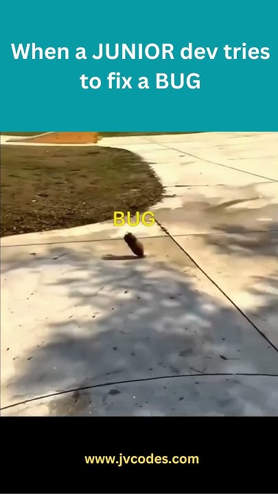 When a JUNIOR developer tries to FIX a BUG #shorts #junior #bug - YouTube