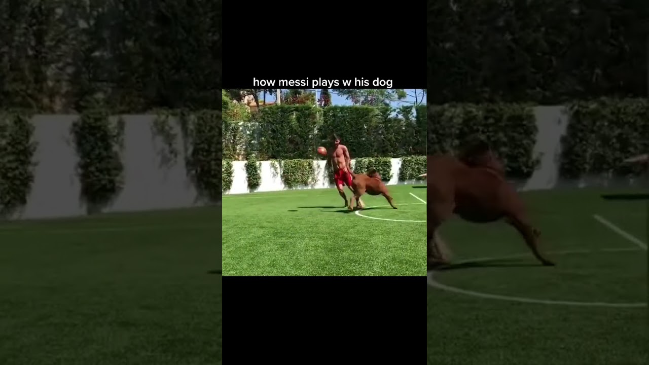 How Messi And Ronaldo Play With Their Dog - YouTube