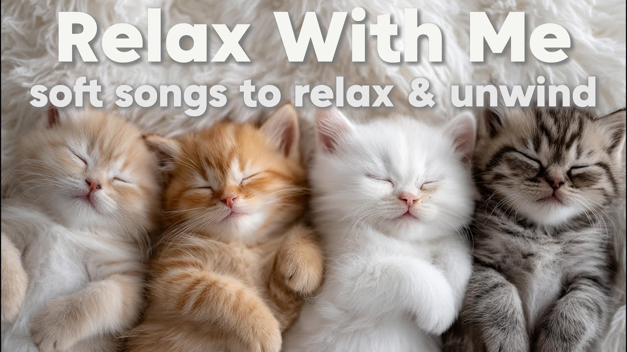 𝐏𝐥𝐚𝐲𝐥𝐢𝐬𝐭 Relax With Me - Soft Songs to Relax & Unwind #playlist #study ...