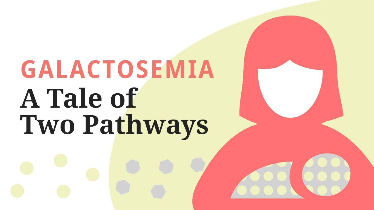 Galactosemia: A Tale of Two Pathways—A brief overview of the galactose ...